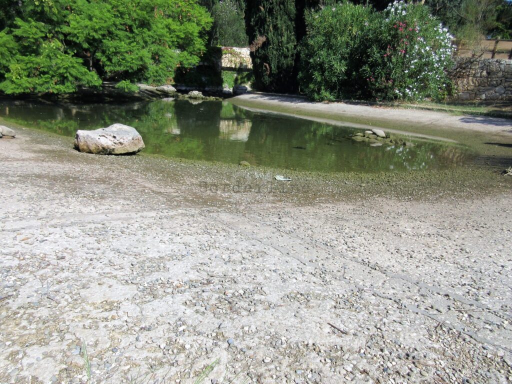 Bari, a secco il laghetto di parco 2 Giugno: annaspano tartarughe e ...